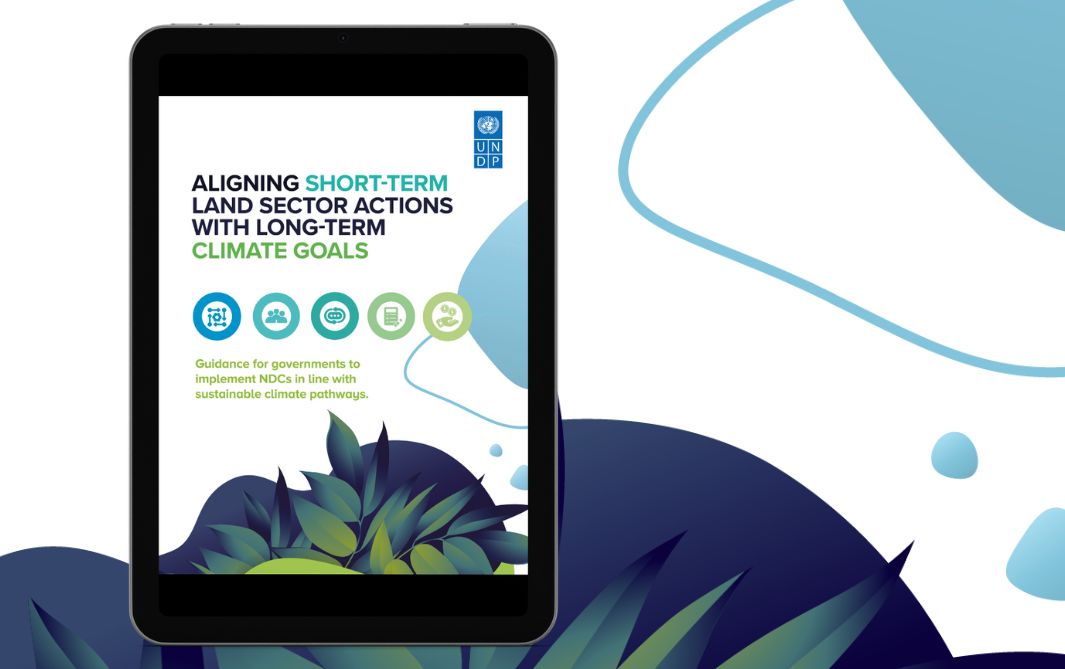 New UNDP guidance for policymakers will help countries take climate action in the forest and ...